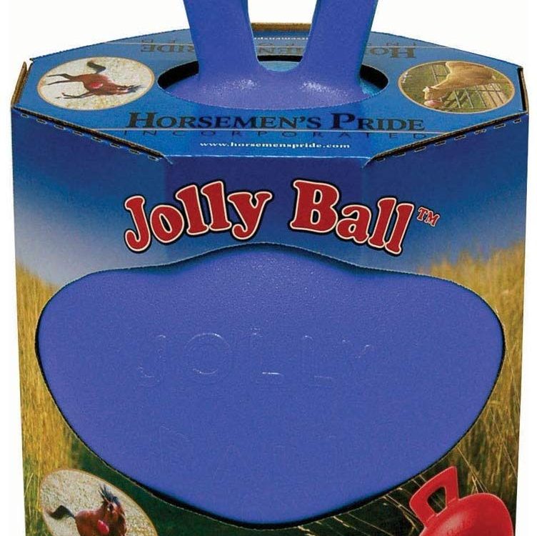 Jolly Ball Blueberry – Hiroof Enterprise